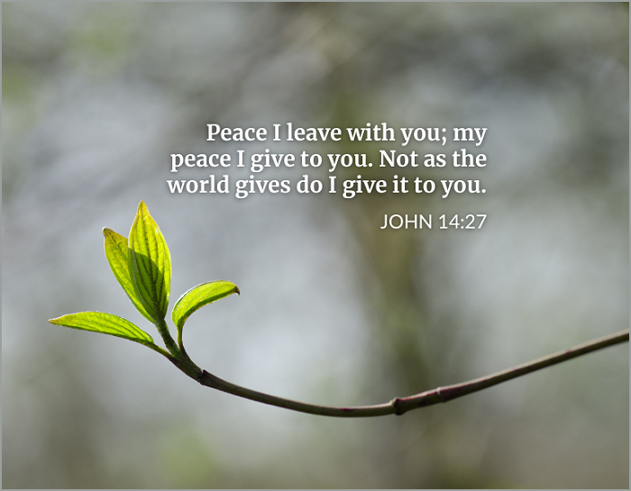 Peace Is Not The Absence of Stress – Daily Devotional