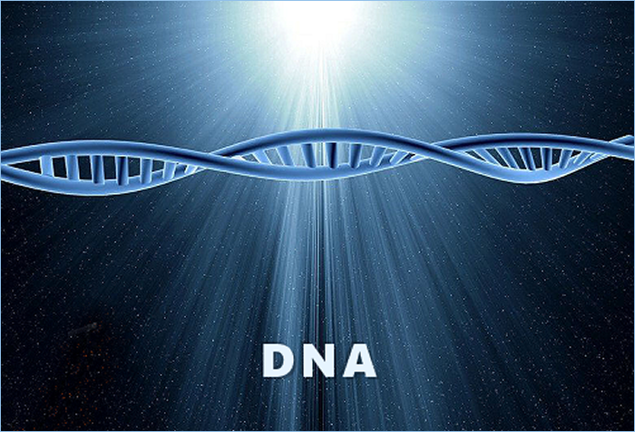 Fact – Not Theory – Daily Devotional